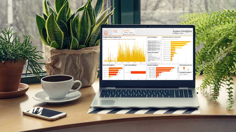 Explore FireFighter: Your SAP firefighter challenges