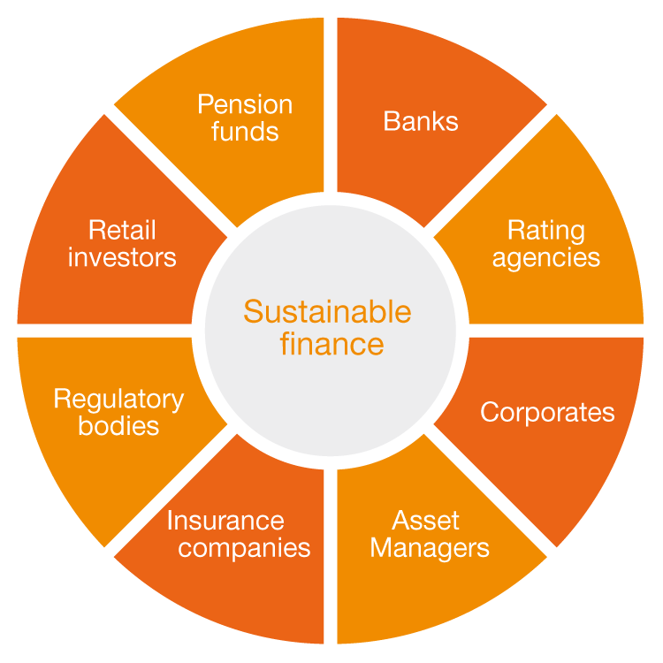 sustainable-finance-organisations-must-prepare-now-pwc-belgium