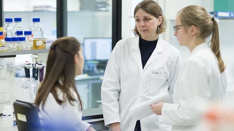 Assisting argenx: Implementing Robust Internal Control Framework