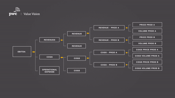 Value Vision: PwC’s digital business planning solution in action