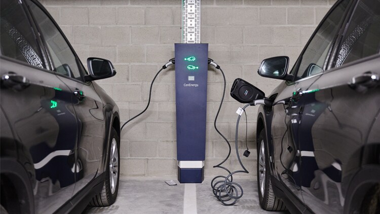 Moving to a low-carbon and climate resilient future | PwC Belgium