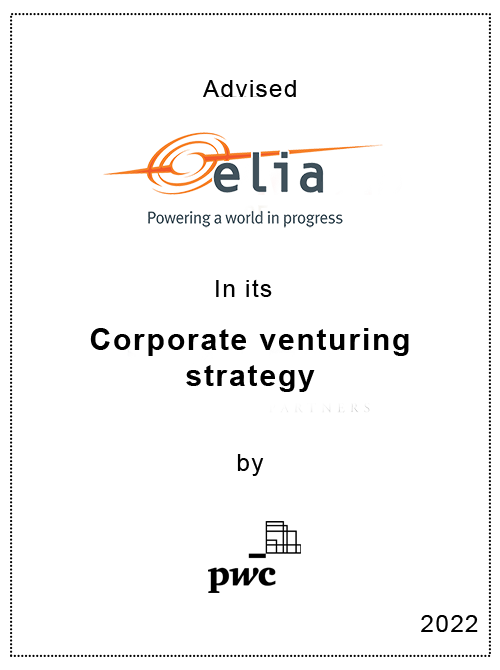 Supporting Elia Group on the set up of their Venture Hub