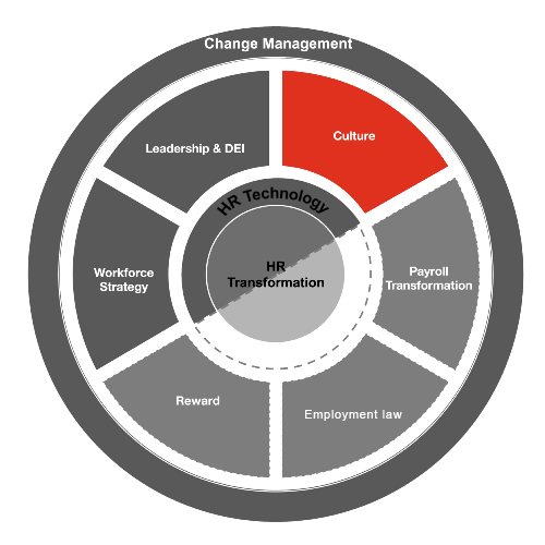 People & Transformation | PwC Belgium