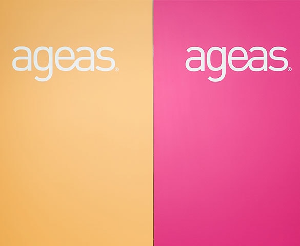 Advancing Ageas' approach to audit - Client case study